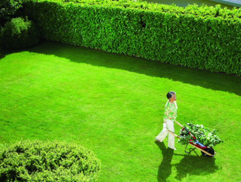 Care and Nurturing of a Well Maintained Super User Team | SAPinsight Blog